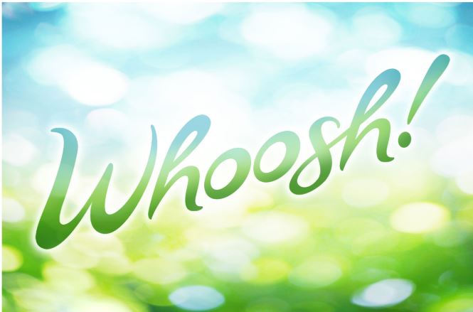 WHOOSH Effect – A Personal Journey…through Bariatric Surgery and Beyond